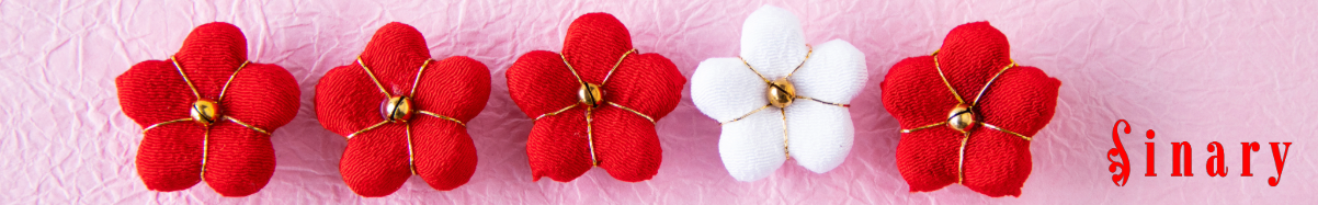 Sinary：環境革命のシナリー：シナリー株式会社